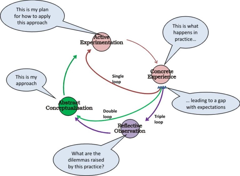 Triple Loop Learning – Asymmetric Leadership