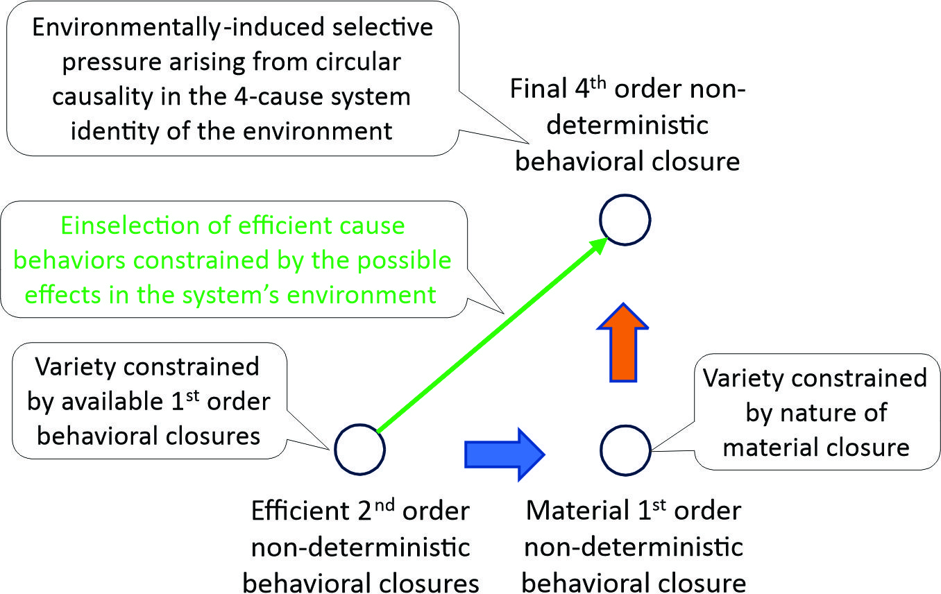 Triple articulation and the quadripod of a living system – Asymmetric ...