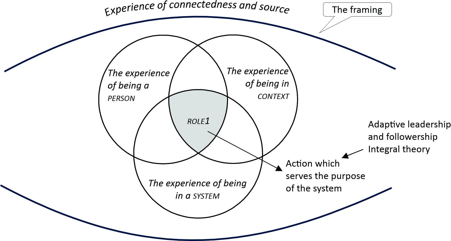 Balancing normative and ‘edge’ roles in turbulent environments ...