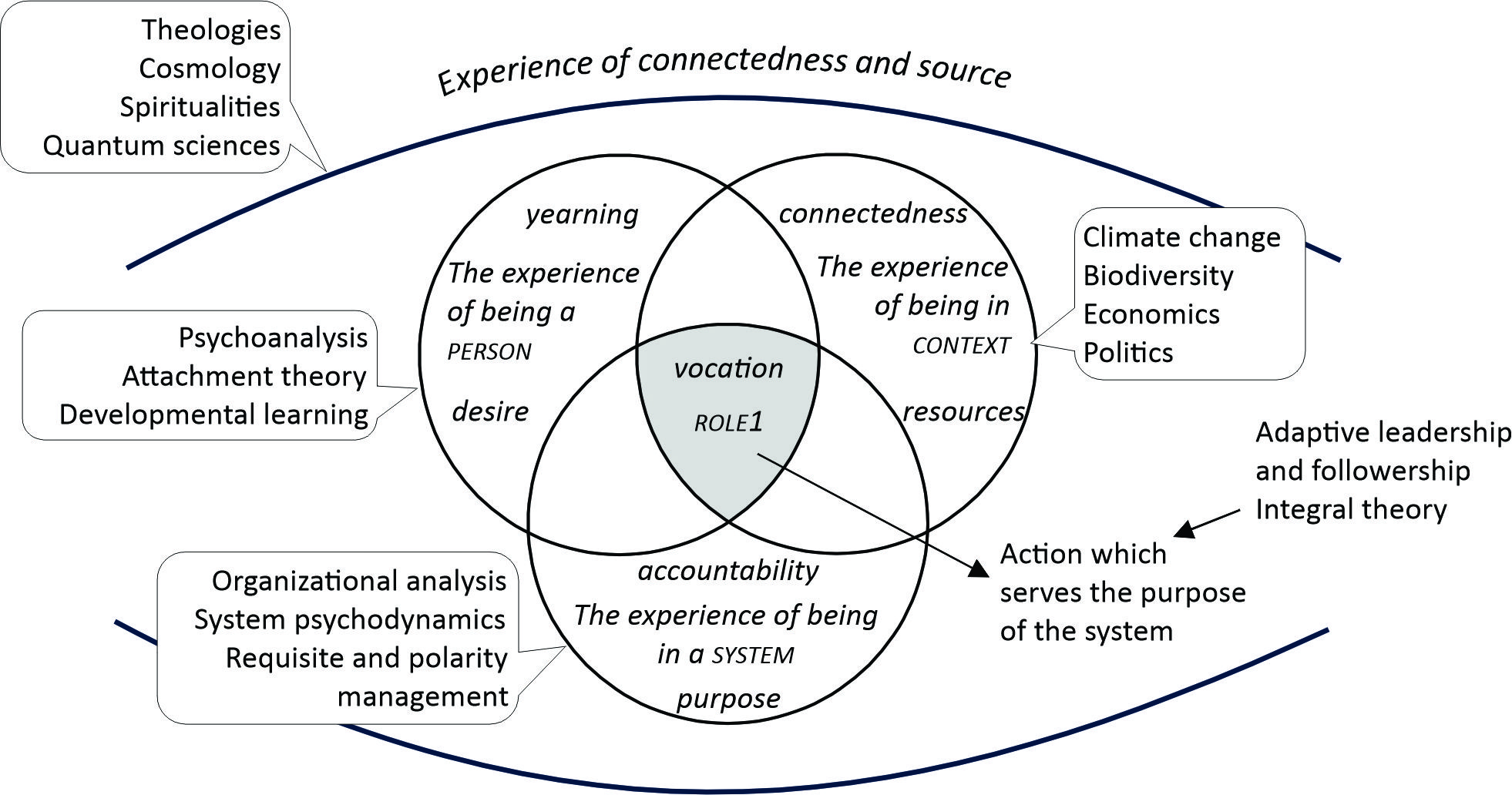 Why should Zizek’s misreading of Lacan matter? – Asymmetric Leadership